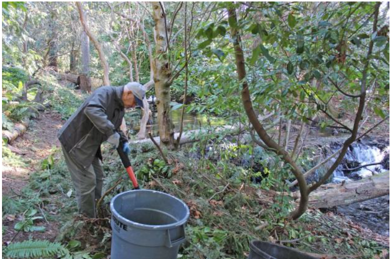 Shell Creek – Edmonds Environmental Council